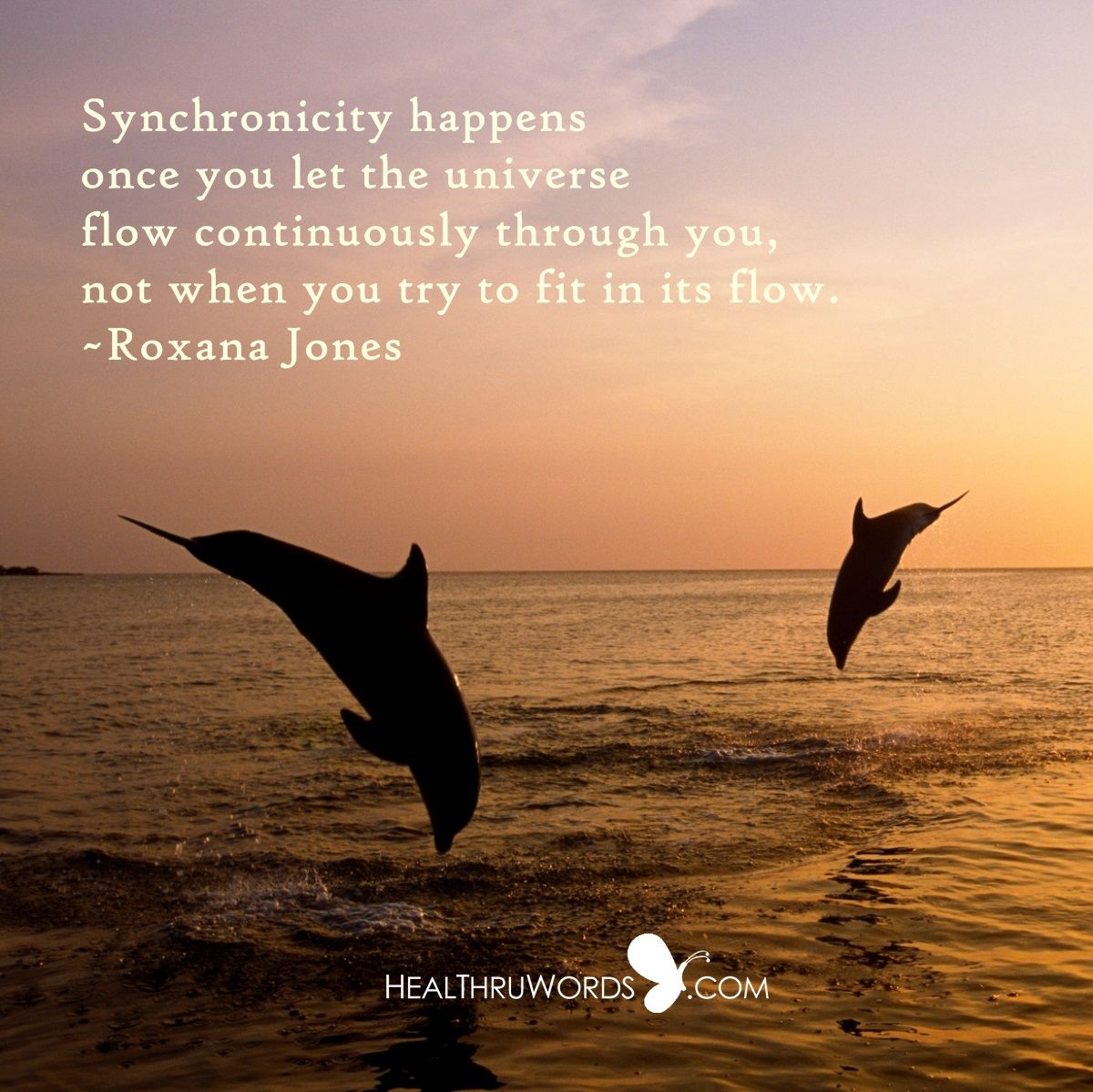 Synchronicity Examples - Cosolargy